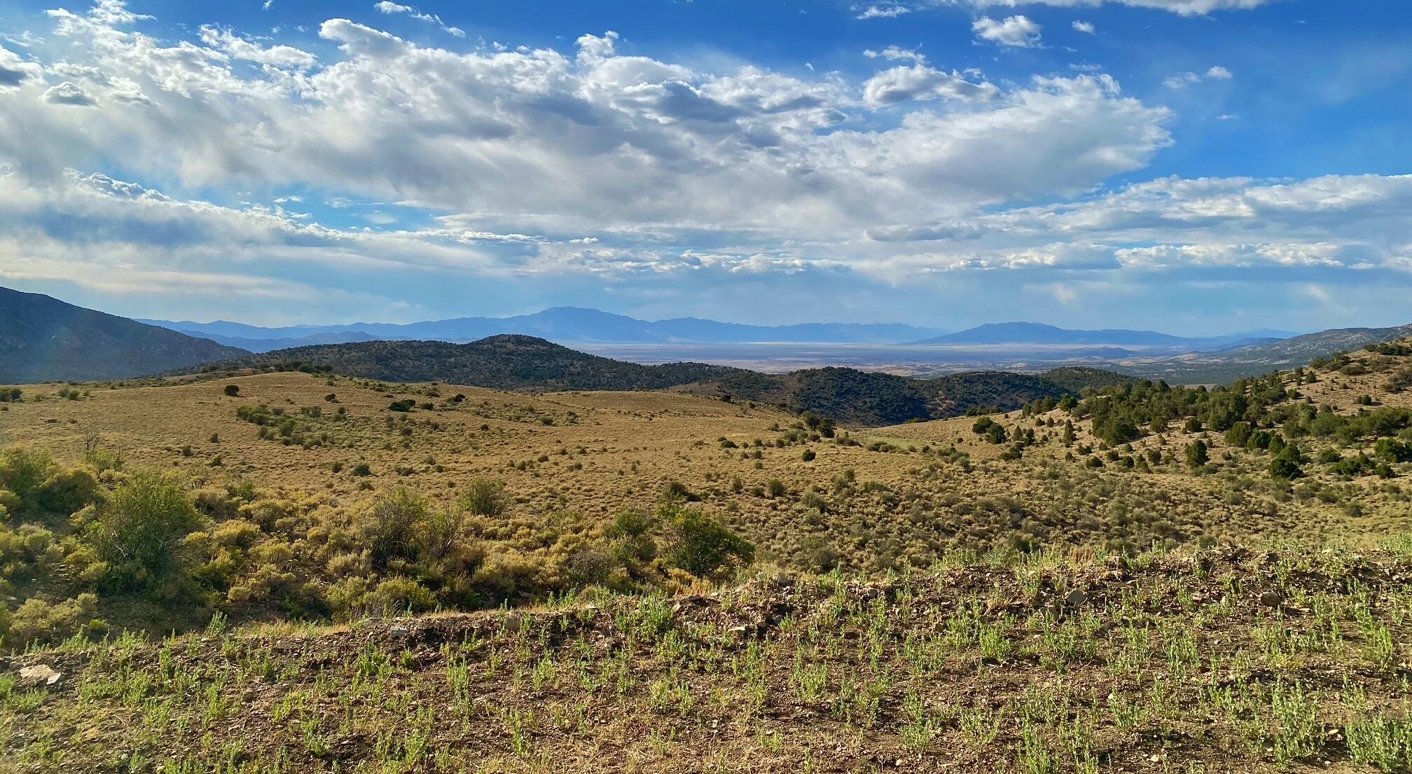 What is Nae | Our History and Services | NAE